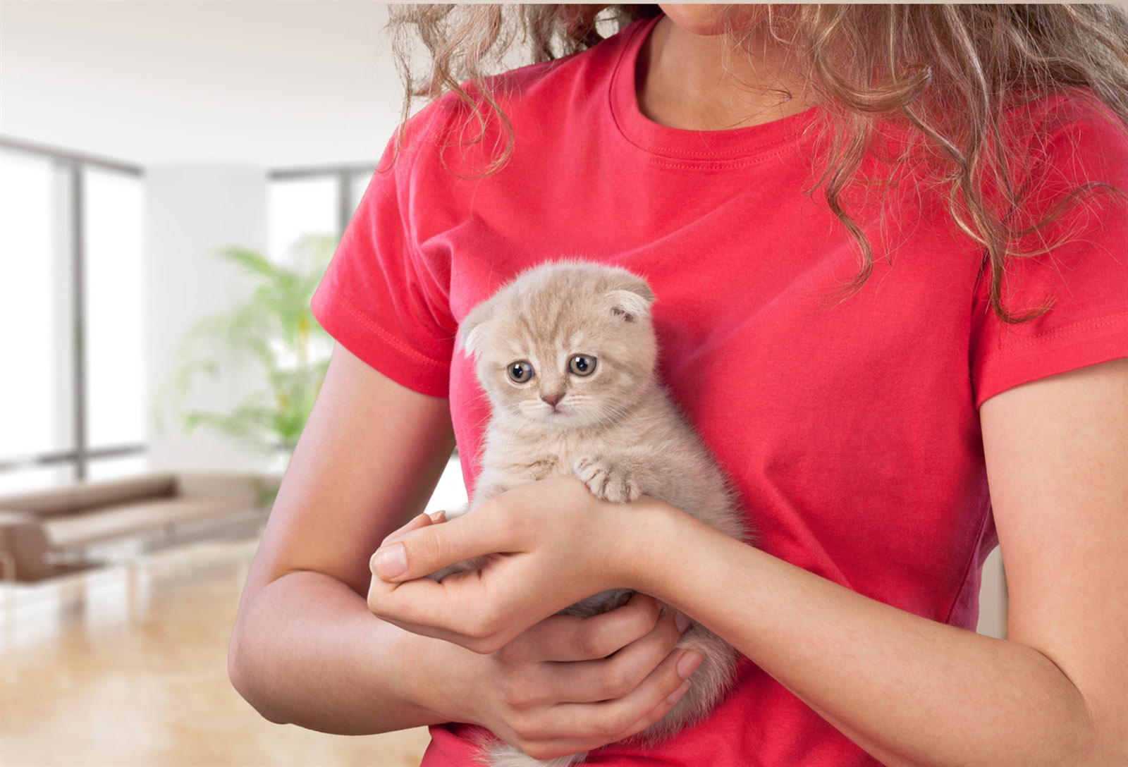 cathome – Lake Norman Pet Sitting